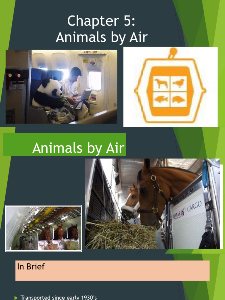 Chapter 5 Animals by Air | PDF | Zoo | Animal Welfare