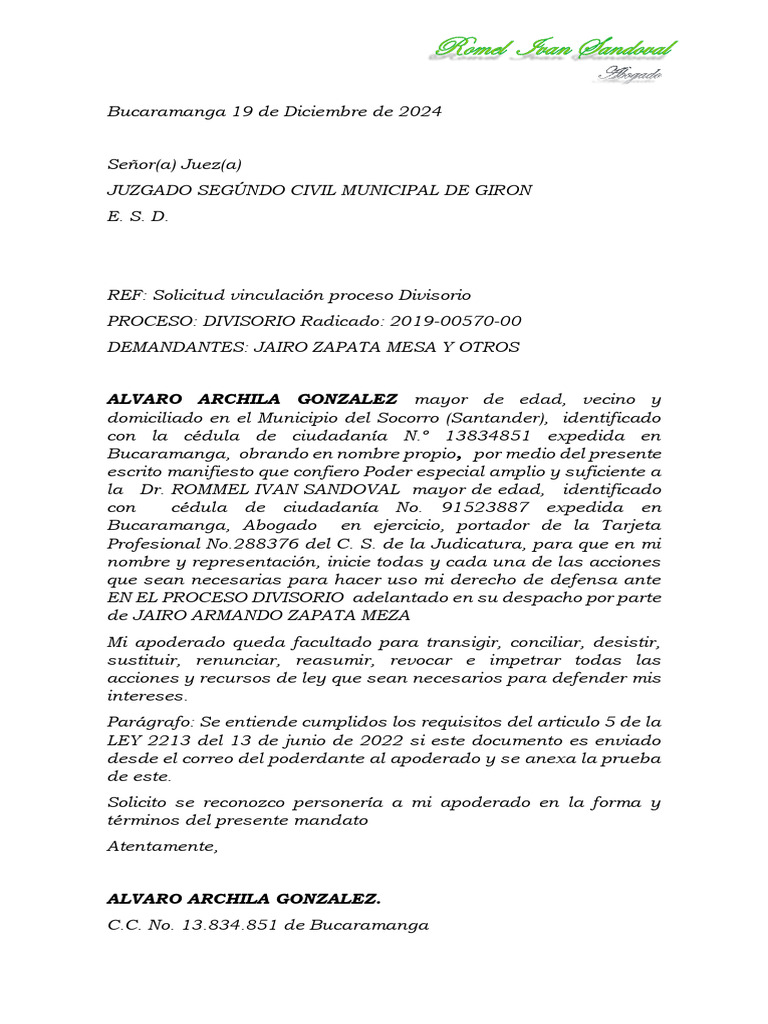 Poder Especial para Proceso Divisorio | PDF