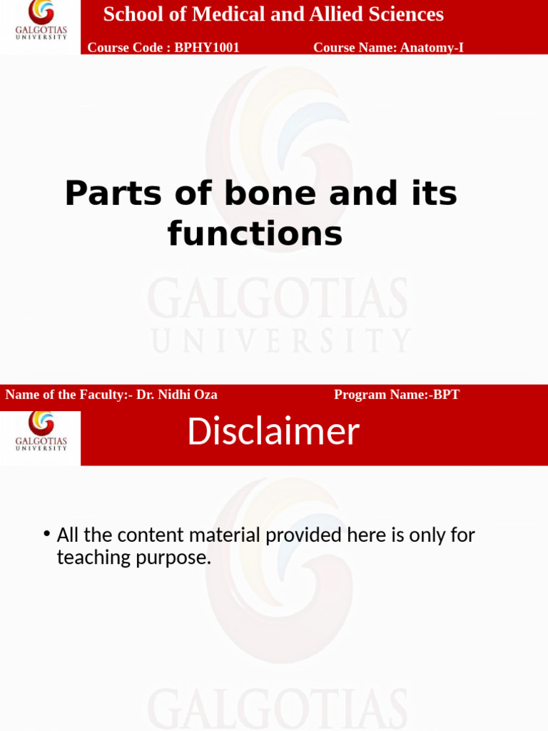 L8 Functions of Bones. Young Bone | PDF | Bone | Vertebral Column