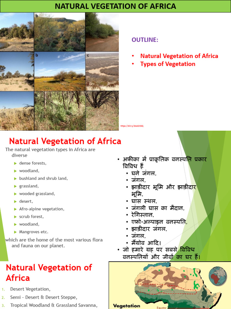 natural vegetation | PDF