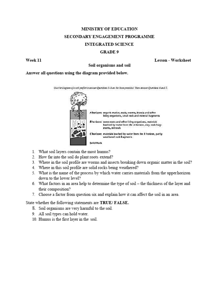 Grade 9 Integrated Science Worksheet | PDF