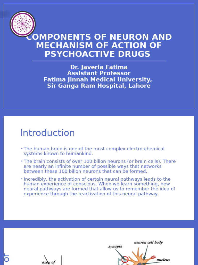 Lecture 2.4 PPC | PDF | Neurotransmitter | Neuron