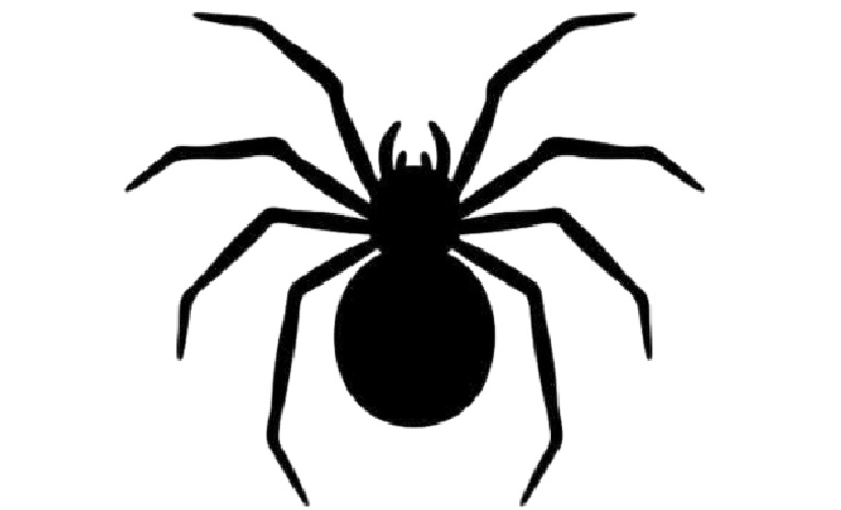 Spider | PDF