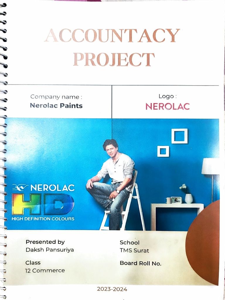 Accountancy Project - Class 12 | PDF