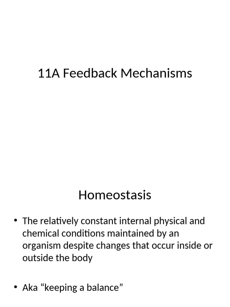 11A Feedback Mechanisms | PDF