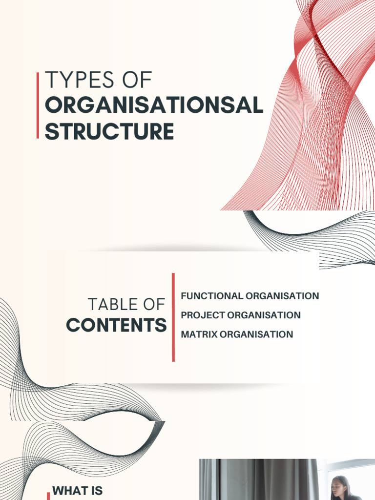 Project Organizational Structure Benefits | PDF | Business
