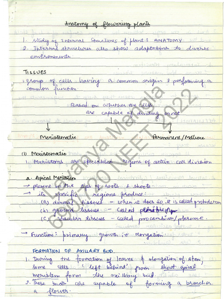 Anatomy of Flowering Plants | PDF