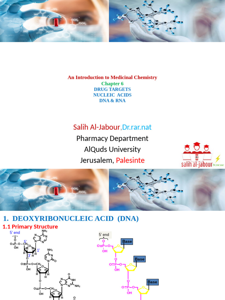 Nucleic Acids | PDF | Rna | Translation (Biology)