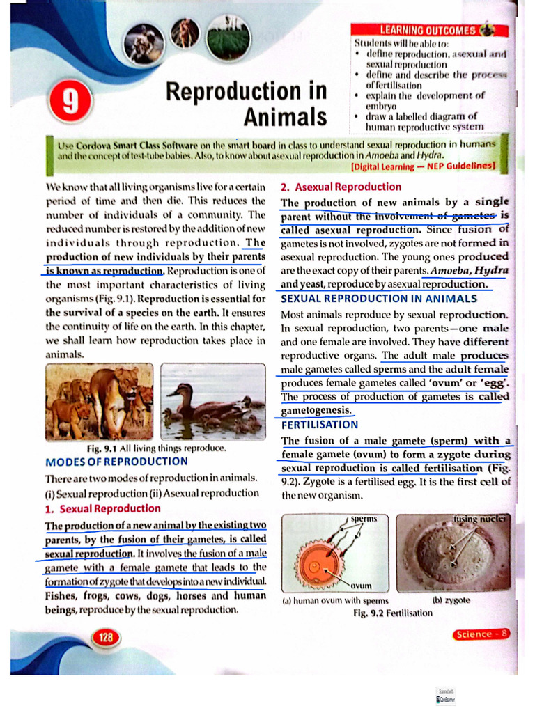 Ch-9 Reproduction in Animals | PDF