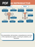 Science (Reproductive System) Grade 6 | PDF | Reproductive System | Zoology