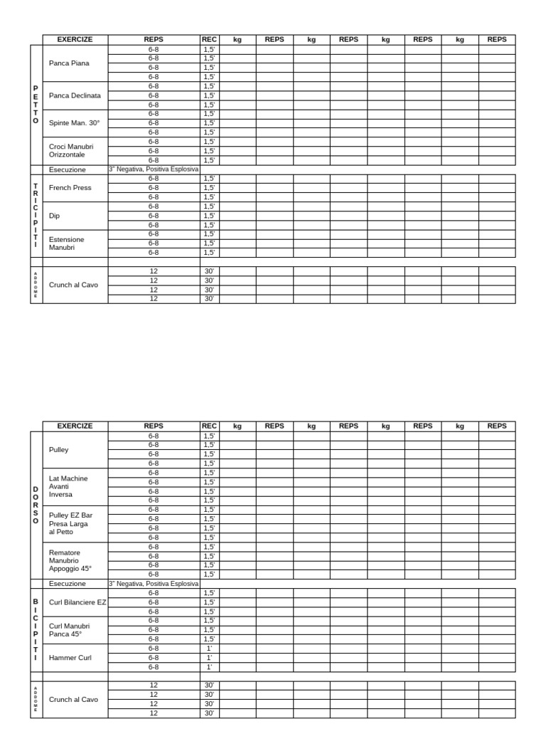 Workout Y3T Type Examples 2 | PDF | Weight Training