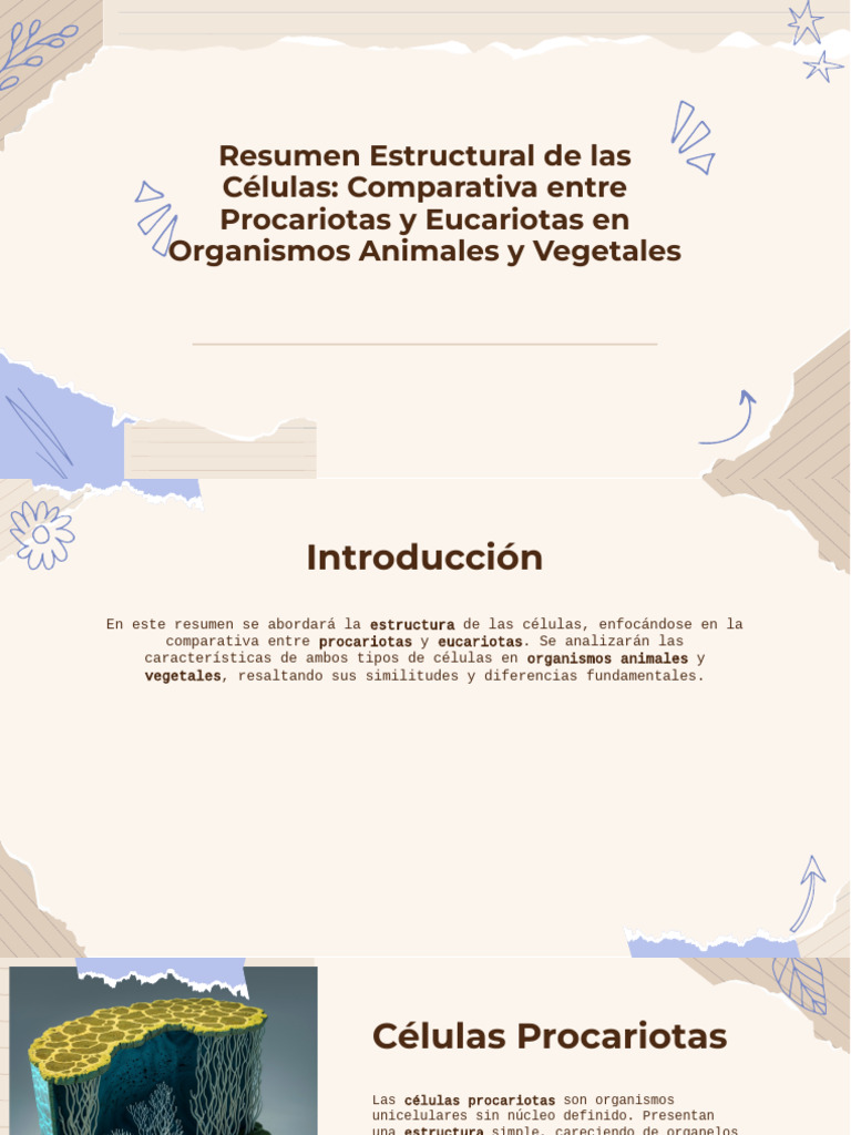slidesgo-resumen-estructural-de-las-celulas-comparativa-entre-procariotas-y-eucariotas-en ...