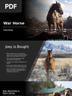 War Horse Questions | PDF | Sports & Recreation