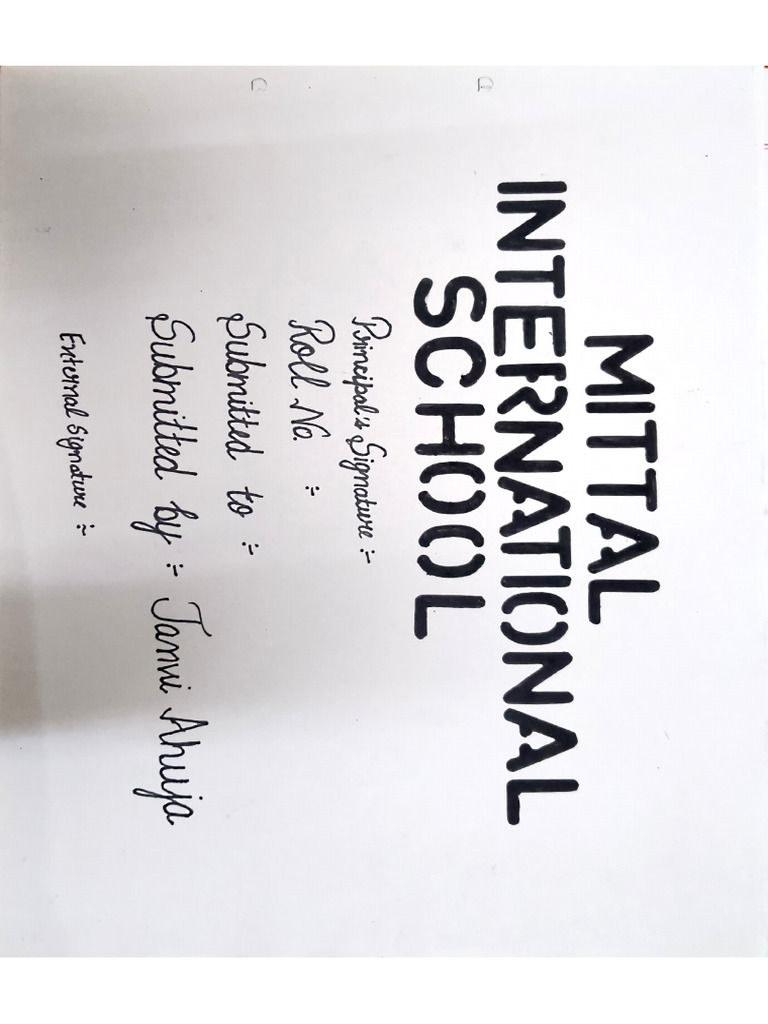 Geography Practical File | PDF