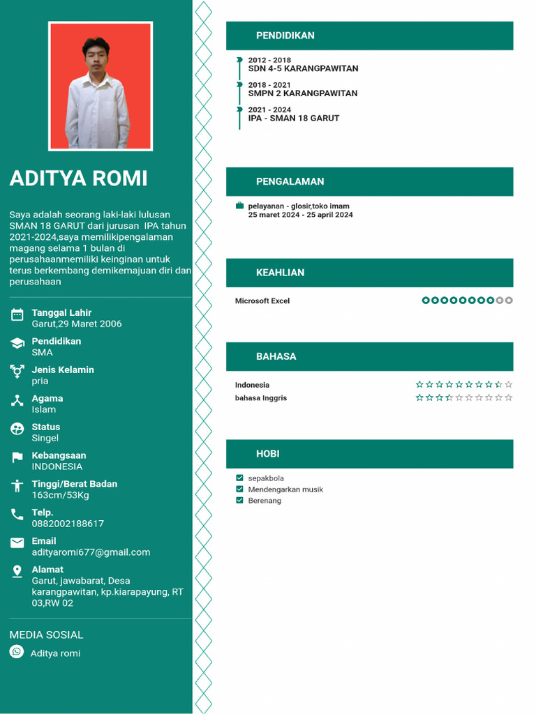Aditya Romi Cv-digabungkan | PDF