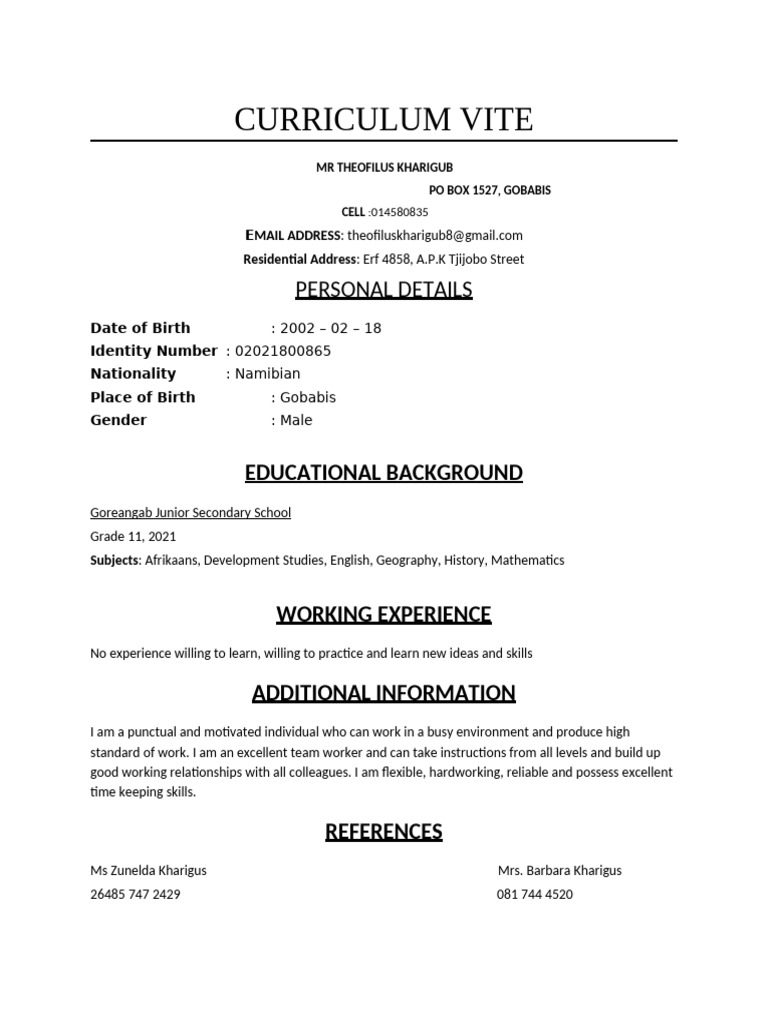 Curriculum Vite 1 | PDF