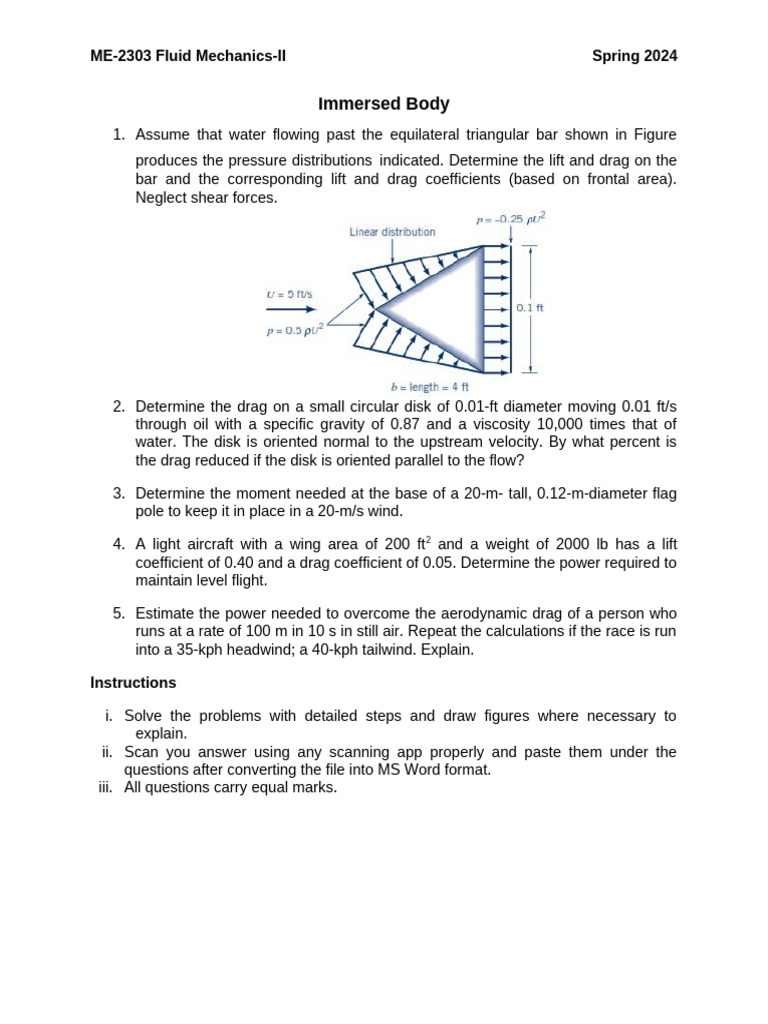 Immersed Body Assignment | PDF