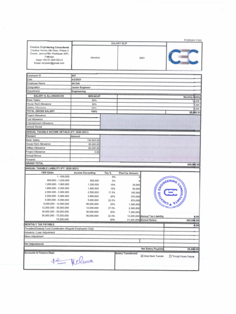 Ali Zeb Salary Slip | PDF