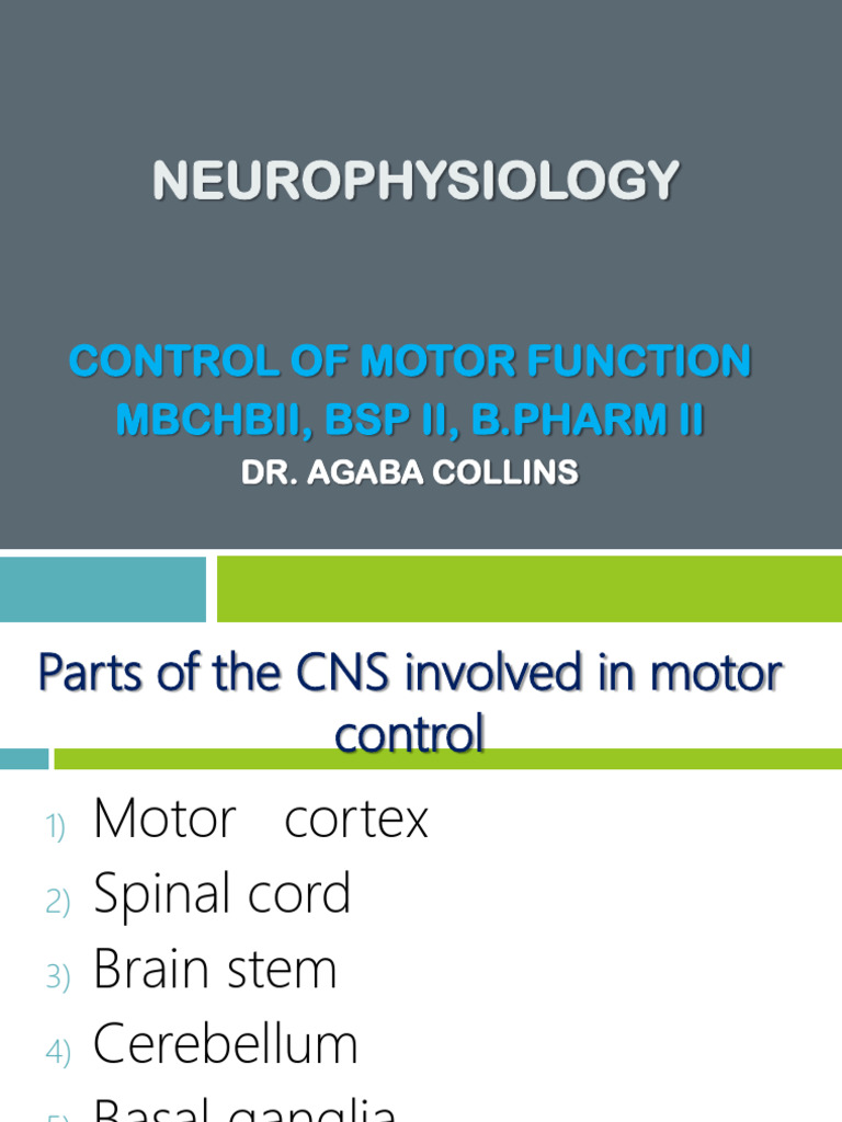 8. Motor System. | PDF | Cerebral Cortex | Cerebellum