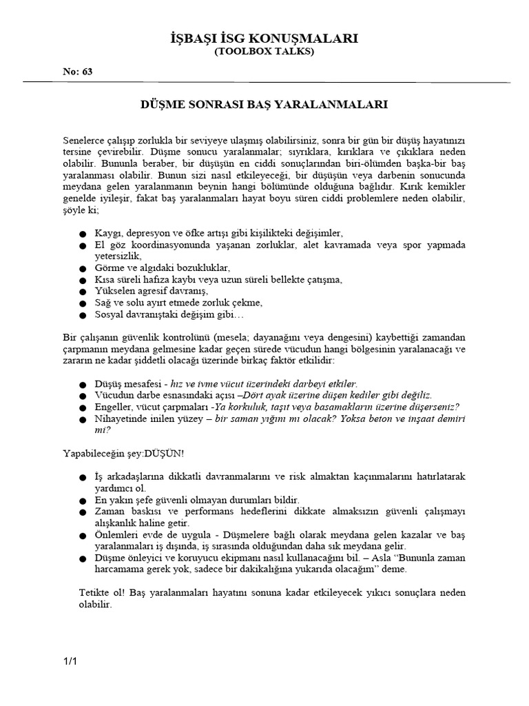 ISBASI ISG KONUSMALARI-63-Dusme Sonrasi Bas Yaralanmalari | PDF