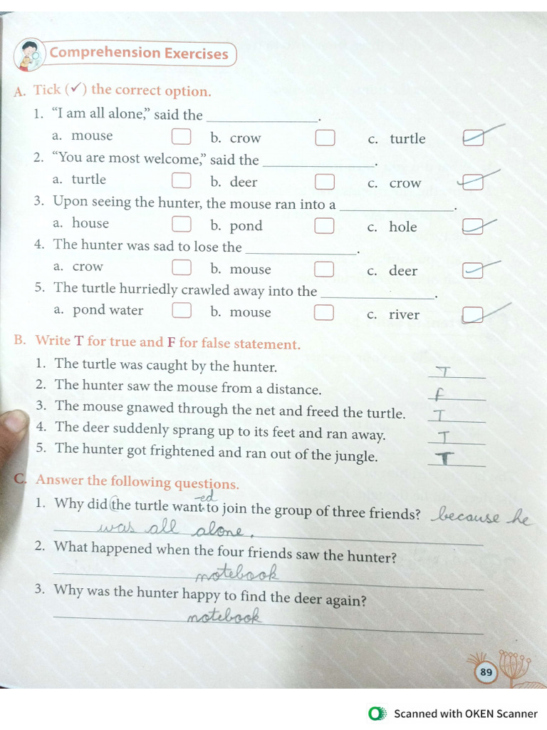Chapter - 11 Complete Bookwork and Notebook Work | PDF
