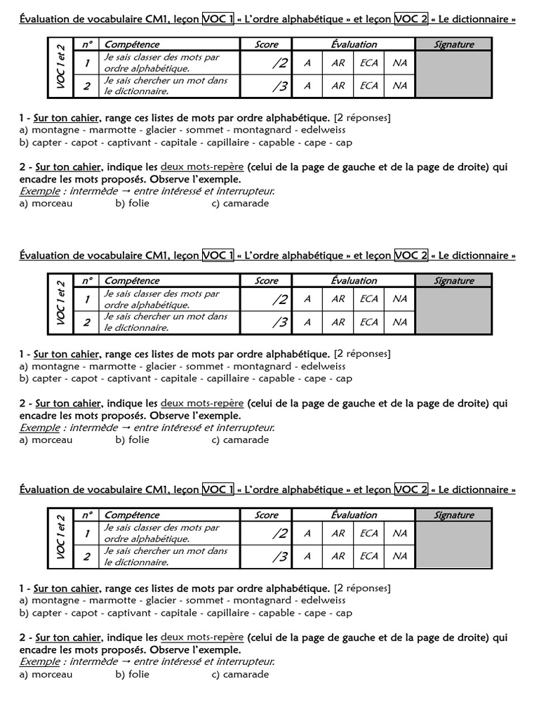 CM1 Lordre Alphabetique Et Le Dictionnaire Evaluation | PDF | Référence ...