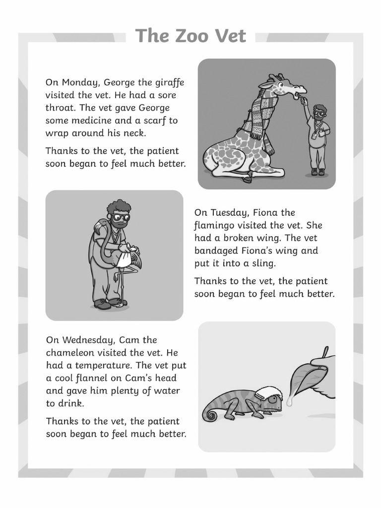 Grade 1 The Zoo Vet 1 | PDF