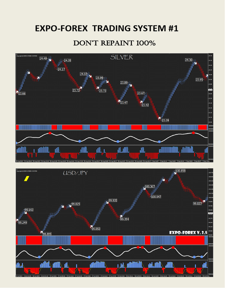 Expo Forex Trading System Overview | PDF