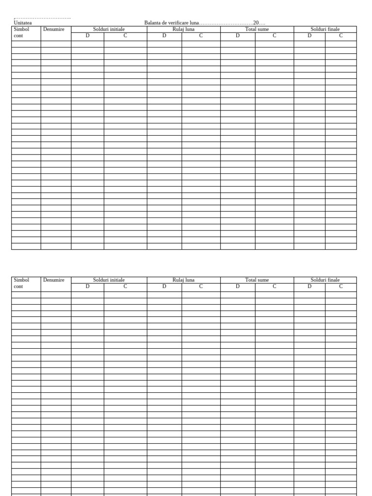 Balanta de Verificare | PDF