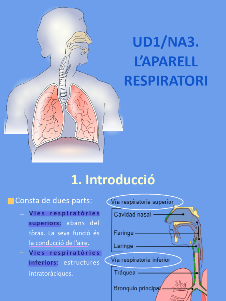 NA3. L - APARELL RESPIRATORI 2 (Formato Comprimido) (Formato Comprimido ...