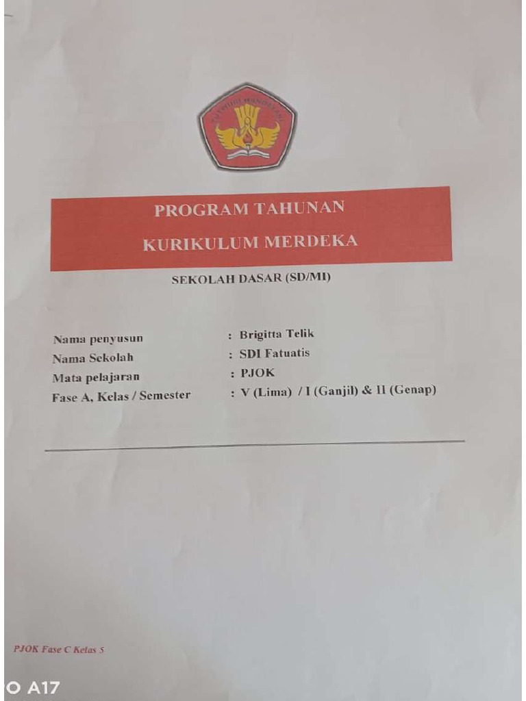 Program Tahunan Mata Pelajaran PJOK Kelas V | PDF