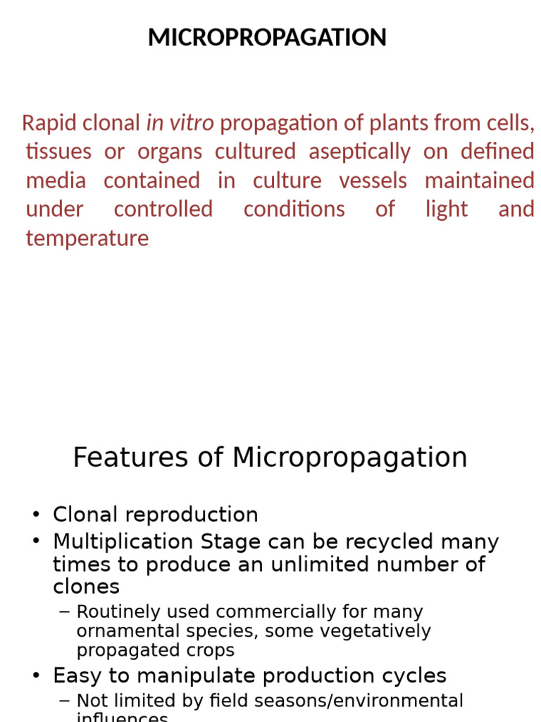 Micropropogation - PPTX 1 | PDF | Botany | Plants