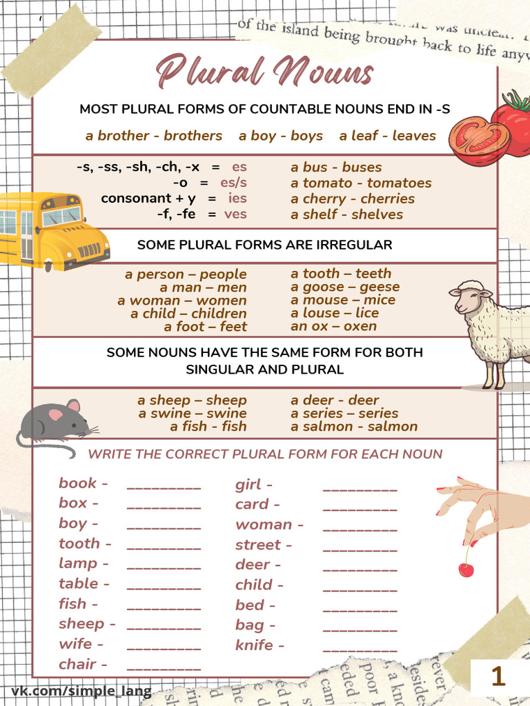 Plural Nouns by Simple Language | PDF | Plural | Linguistics