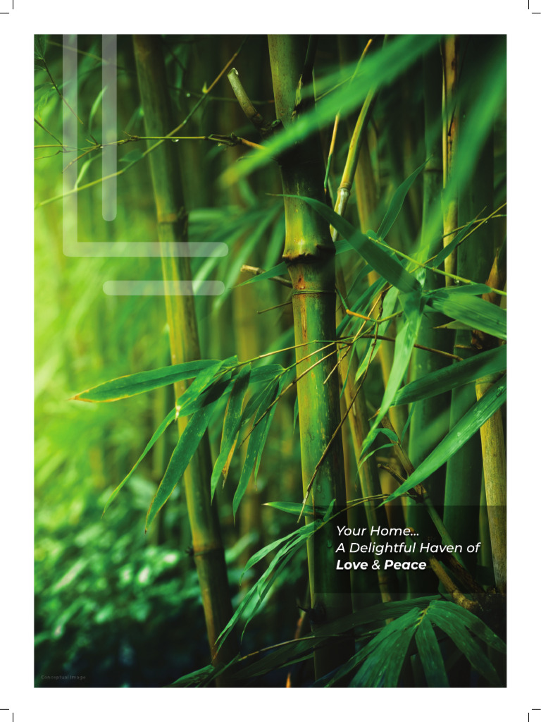 Leela Main Brochure 12X16 20 Nov C2C | PDF