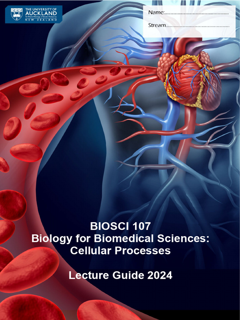 Lecture Guide 2024 BIOSCI 107 | PDF | Epithelium | Human Body