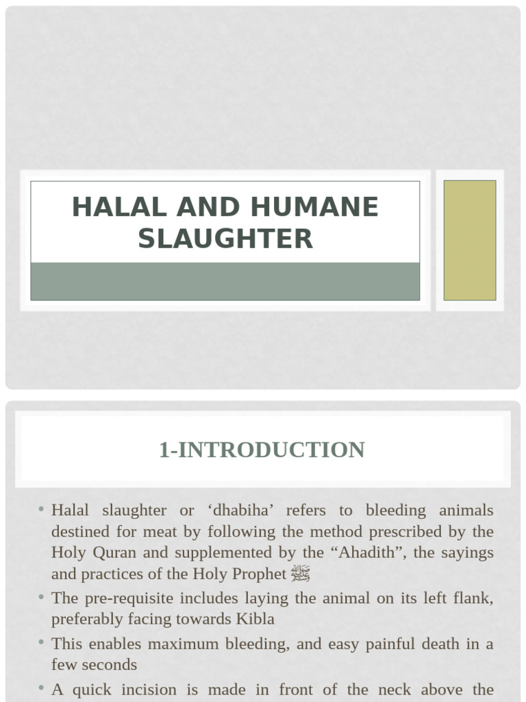 Halal Slaughter: Methods and Guidelines | PDF | Meat