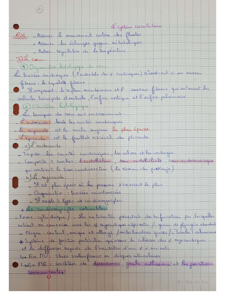 Résumé Amin Zghal | PDF