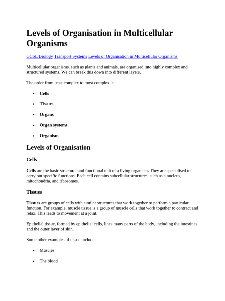 Levels of Organisation in Multicellular Organisms | PDF | Tissue ...