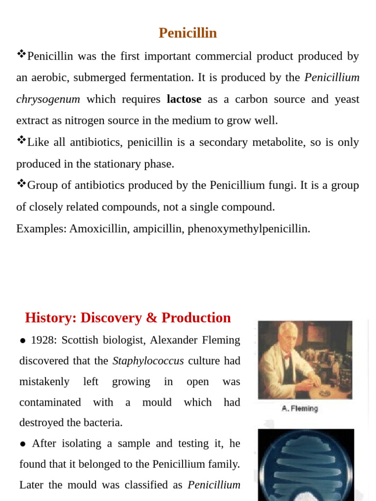 Overview of Penicillin Production | PDF | Penicillin | Salt (Chemistry)