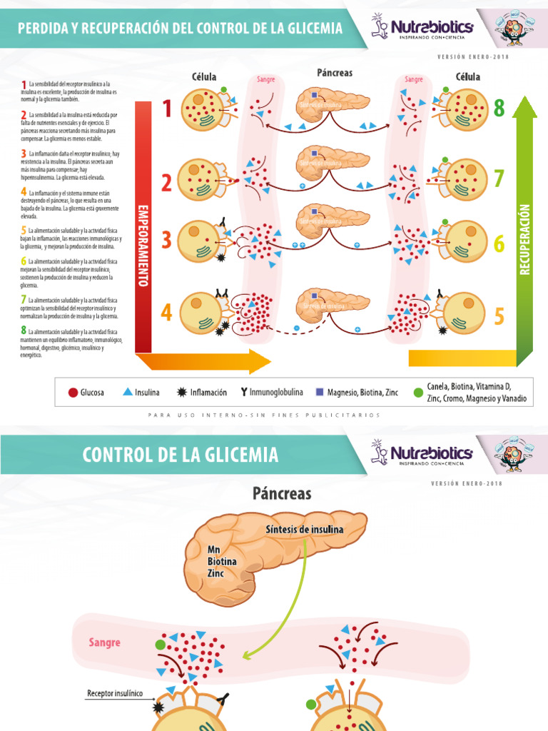 FI Ficha Infografica Control de La Glicemia | PDF