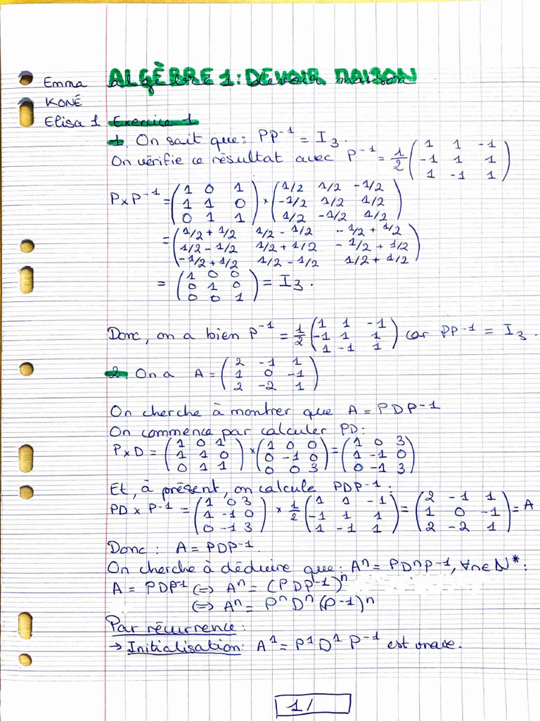Devoir Maison Analyse 1 Emma Kone | PDF