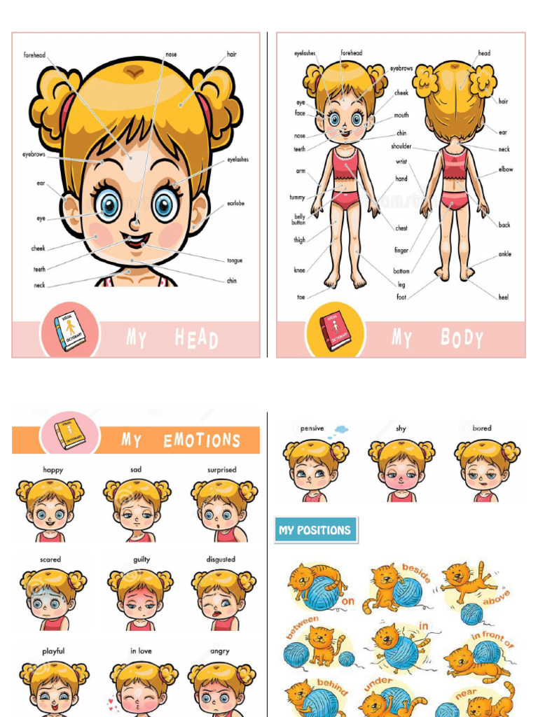 Pamphlet story grd 2-4 | PDF