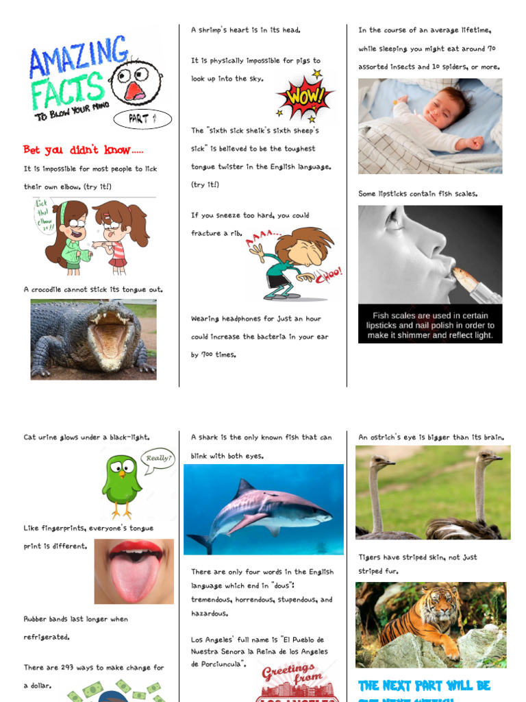 Pamphlet Grade 5-6 (Amazing Facts pt.1) | PDF | Zoology