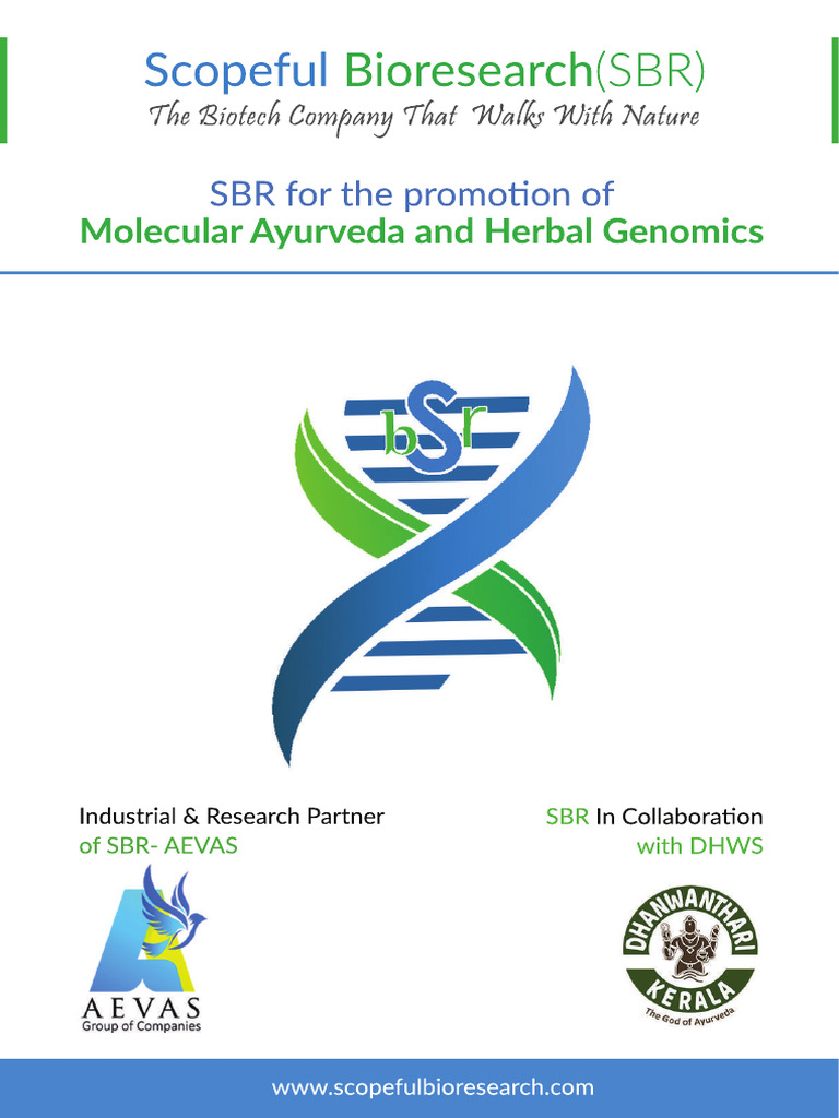 SBR Brochure | PDF