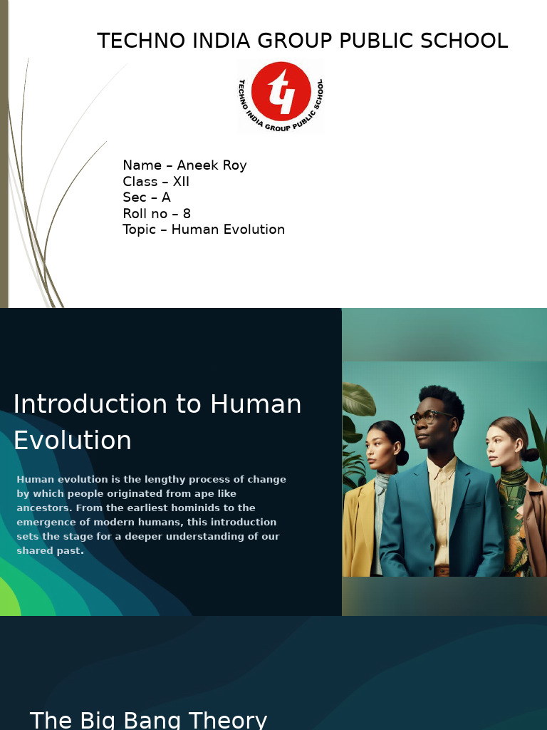 Human Evolution Overview | PDF | Human | Homo