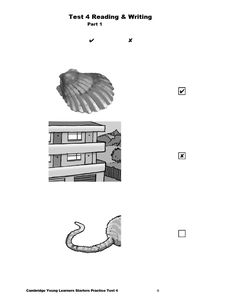 CYL Starters Test 4 ReadingWriting | PDF | Classroom | Learning