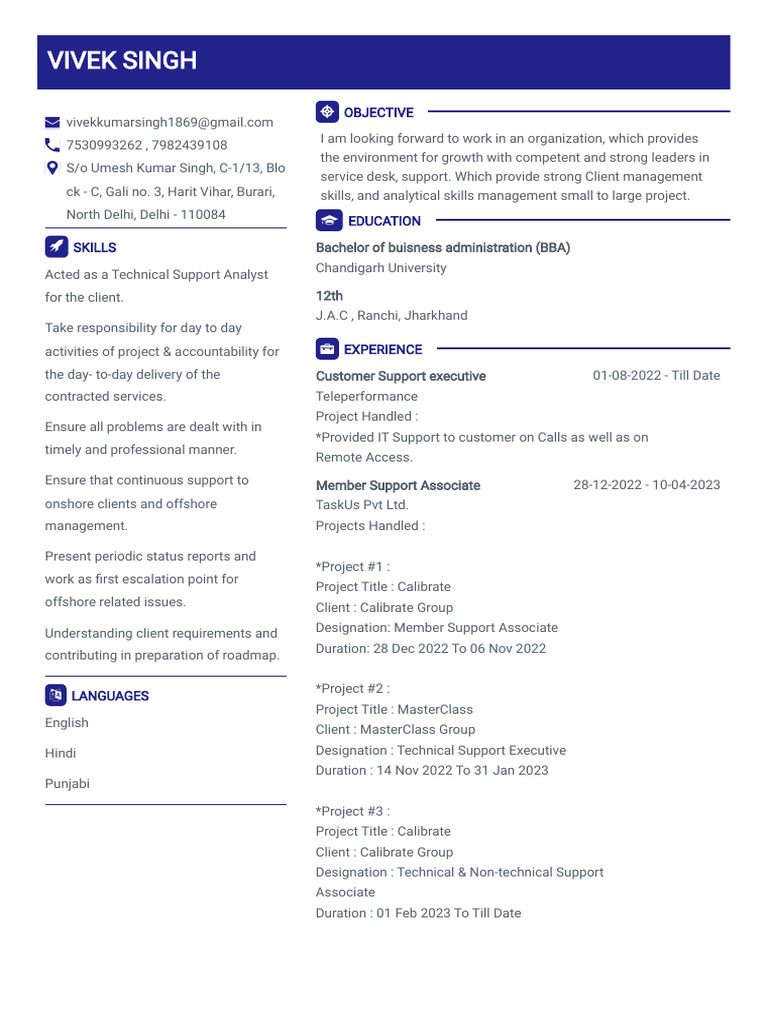CV Vivek | PDF | Technical Support | Application Software