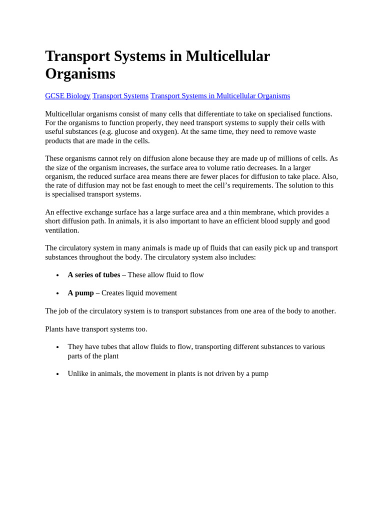 Transport Systems in Multicellular Organisms | PDF