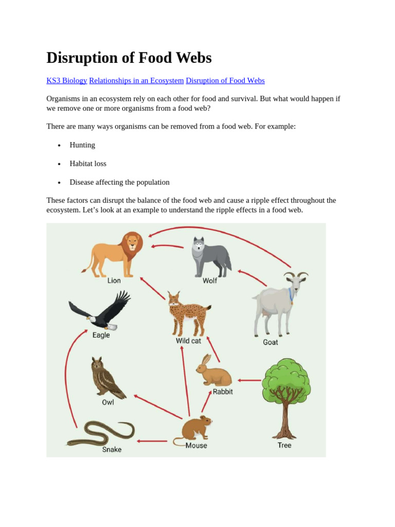 Disruption of Food Webs | PDF