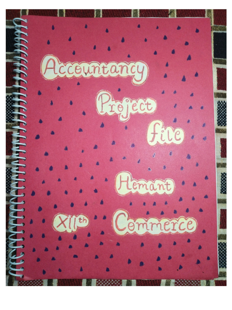 Accountancy Project File | PDF